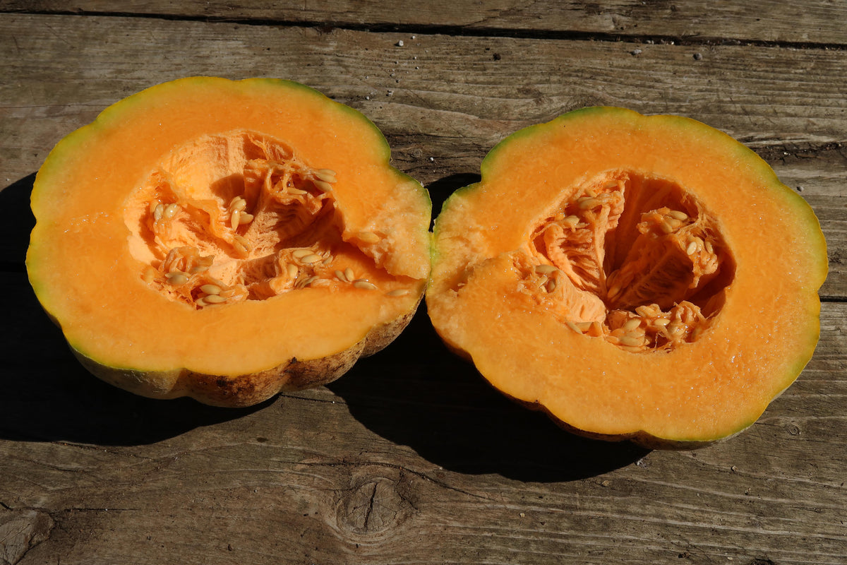 Melon brodé Oka - Semences cultivées sans pesticides - Semences du ...