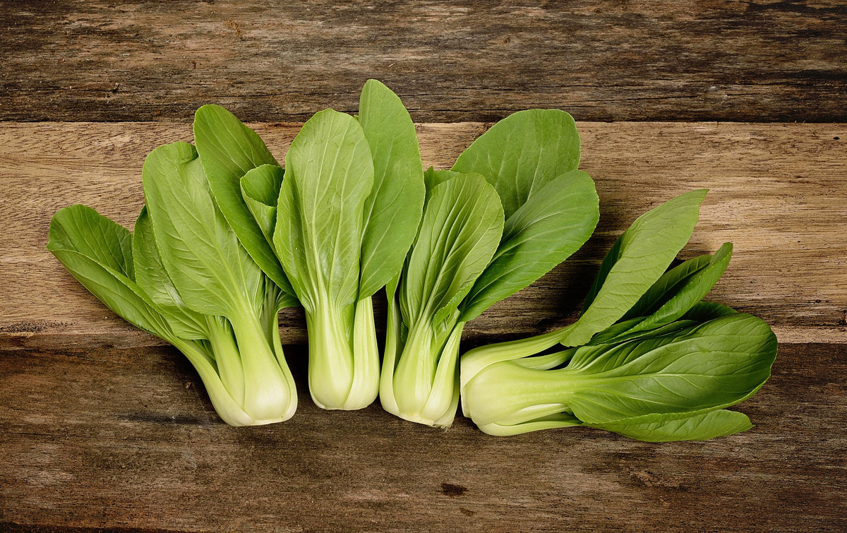 Pac Choy Shangaï Green - Semences cultivées sans pesticides - Semences ...