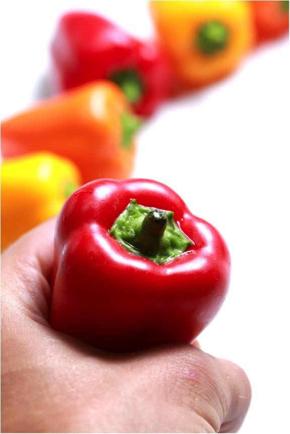 Poivrons minis en mélange - Semences cultivées sans pesticides ...